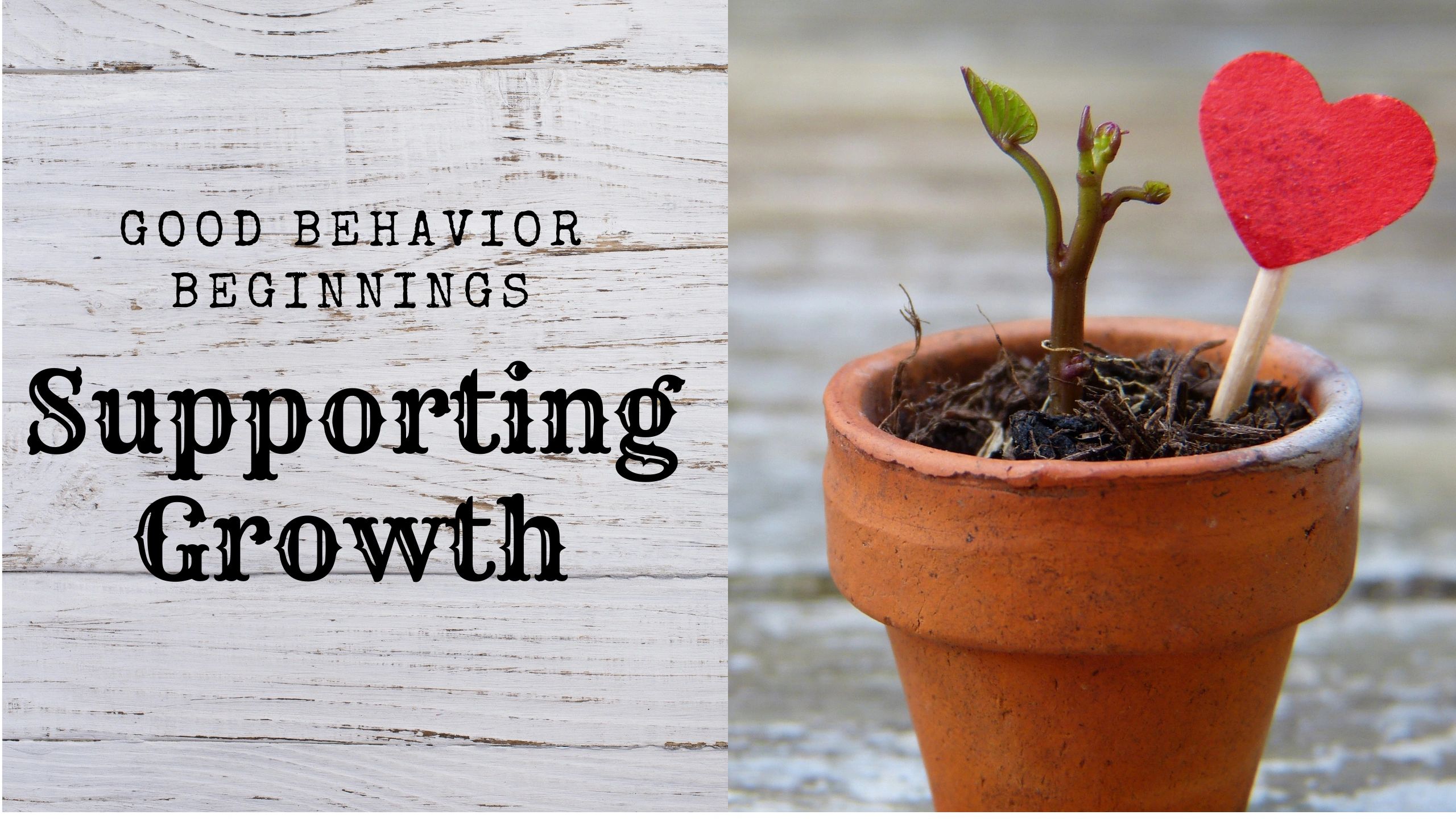 Good Behavior Beginnings, LLC